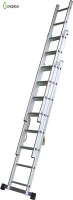 China Telescopic 3 Floor Aluminium Ladder 8 Step 1.4mm 150kg Capacity for sale