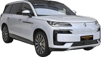 China DENZA N9 1300 Flagship Electric Vehicle 2025 Model 8000 km Mileage for sale