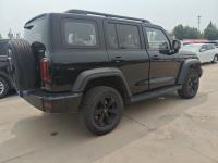 China 2023 TANK 300 Off-Road 2.0T Challenger for sale