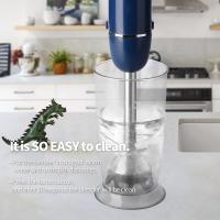 China 5 in 1 Immersion Stick Blender Set 120V 240V With Whisk Frother Chopper Beaker for sale
