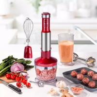 China 220V Portable Hand Blender 5 In 1 Variable Speed 12 Months Warranty for sale