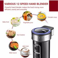 China 220V Portable Hand Blender 5 In 1 Variable Speed 12 Months Warranty for sale