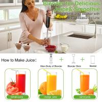 China Durable stainless steel blades manual hand blender includes beaker, chopper, whisk, milk frother for sale