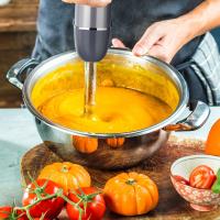 China Custom 4 In 1 Immersion Blender Set Smart Appliance For Sauces / Soups for sale