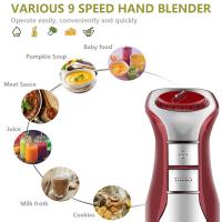 China 5-In-1 500W Portable Handheld Blender Stick BPA Free With 5 Accessories for sale