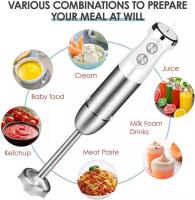 China Smart Stick Blender 2 Speed Immersion Blender With Chopper / Whisk for sale