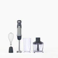 China Household Stainless Steel Stick Blender 600 Watt Immersion Blender for sale