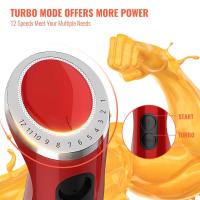 China Multifunctional Stick Hand Blender 12 Speed Immersion Blender for sale