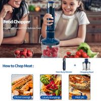 China 5 In 1 Portable Hand Blender , Immersion Hand Blender Set With Titanium Steel Blade for sale