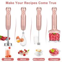 China Kitchen Electric Hand Held Blender 800W For Smoothie / Baby Food for sale