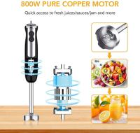 China 800W Pure Copper Motor Immersion Stick Blender Anti Splash Low Noise for sale