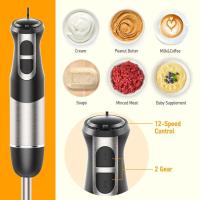 China 400W Immersion Stick Blender 3 In 1 Multi Function Two Speeds With Turbo 12 Speeds for sale