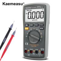 China Digital Multimeters Autorange 1000V Voltage Meter True RMS LED Diode Test Multimetro Smart Multimeter for sale