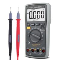 China Industrial Digital Multimeter 6000 Counts 1000V AC DC True RMS Auto Range for sale