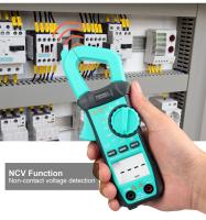 China 3 5/6-Digit Digital Clamp Meter with Voltage Detection - Portable Pocket-Sized Multimeter for Electrical Measurements for sale