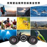China Kaemeasu E 10x42 Waterproof Binoculars with BAK4 Prism and FMC Coated Lens - 42mm Objective, 12mm Eye Relief for sale