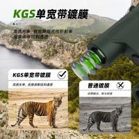 China Kaemeasu E 10x42 Compact Waterproof Binoculars with 42mm Objective Lens and Tripod Compatibility for Outdoor Exploration for sale