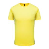 China Anti-Shrink Plain Sublimation Printed T Shirts 100 Polyester  Running T Shirts for sale