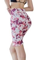 China Machine Washable Custom Printed Leggings Seamless Gym Shorts For Women for sale