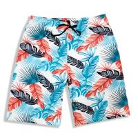 China Custom Quick Dry Custom Swim Shorts Boys Beach Trunks XXS-XXL for sale