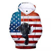 China 3D Printed Custom Oversized Hoodie Anime Cosplay Costume Sublimation Print Hoodie for sale