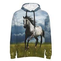 China Men's Hoodie Long Sleeve 3D Print Drawstring Casual Fashion Pullover Sweatshirt With Big Pocket for sale