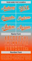 China Custom Screen Print Baseball T-Shirt Personalized Sports Uniform Print Team Name Number Logo For Men Women Youth for sale