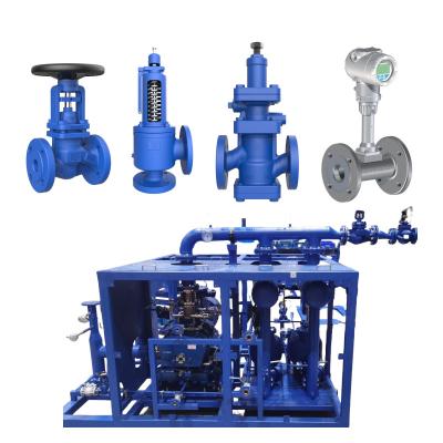 China Non-standard Heat Recovery Skid Factory Customized Solutions Bellows Sealed Stop Valve Safety Valve Steam Flow Meter On Sales for sale