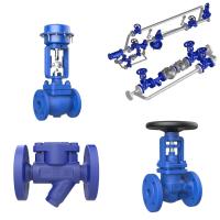 China Steam Trap Station Heat Recovery Skid Customized Balanced Pressure Steam Trap Pressure Reducing Valve Control Valve for sale