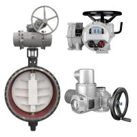China Rotork IQ Serials Electric Actuator With Control Valves Body As Rotork Electric Actuator Valve Electric Actuator For water treatment project for sale