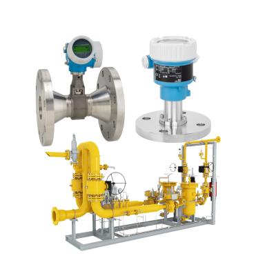 China Natural gas valve skid equipped with an Endress+Hauser Proline Prowirl R 200 flowmeter and a Deltabar PMC51B pressure transmitter. for sale