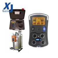 China Authentic 5 Gas Detector Teledyne GMI PS500 VOC Sensor Option Multi Gas Detector for Oil Gas Chemical Plants for sale
