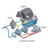 China Tissin TS600 Digital Valve Positioner with HART Communication 145 psi Max Outlet Pressure and IP66 Protection for sale
