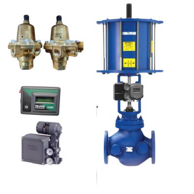 China New and Reliable Pnuematic Control Valve Spiraxsarco and FISH-ER Regulator 67DFR and Controller DVC2000 3582I and Masoneilan Positioner SVI2 for sale