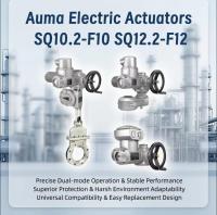 China High Performance OEM Industrial Auma Globe Valve Electric Actuators Sq10.2-f10 Sq12.2-f12 for sale
