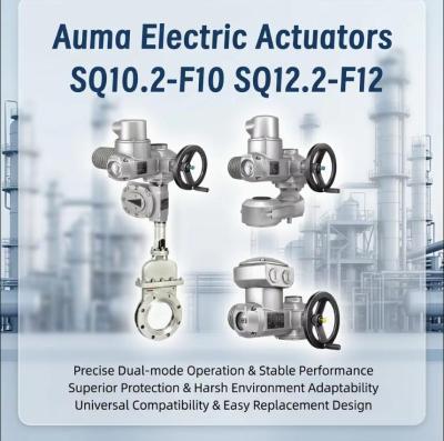China High Performance OEM Industrial Auma Globe Valve Electric Actuators Sq10.2-f10 Sq12.2-f12 for sale