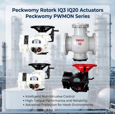 China Peckwomy PWMON Series Explosion-proof OEM Ball Electric Actuators  Display Gas Media Replaceable Rotork IQ3 IQ20 Actuators for sale
