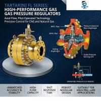 China Emer-son Tartarini FL Series Pilot Operated Gas Pressure Reducing Valve Natural Gas Distribution Gas Pressure Regulator for sale