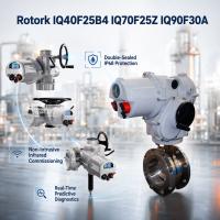 China New Rotork IQ40F25B4 IQ70F25Z IQ90F30A New Intelligent Multi-Turn Electric Valve Actuator,1000-2000Nm,IP68 Non-Intrusive for sale