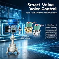 China Masoneilan SVI2-21113111 SVI2-21123121 Smart Digital Valve Positioner with ASCO Solenoid Spool Valves for sale