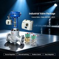 China Valmet Me-tso Neles ND7000 ND7106HX8 HART Communication Intelligent Valve Positioner for ASCO Solenoid Valve for sale
