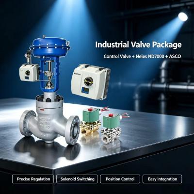 China Valmet Me-tso Neles ND7000 ND7106HX8 HART Communication Intelligent Valve Positioner for ASCO Solenoid Valve for sale