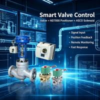 China Valmet Me-tso Neles ND7000 ND7106HX8 HART Communication Intelligent Valve Positioner for ASCO Solenoid Valve for sale