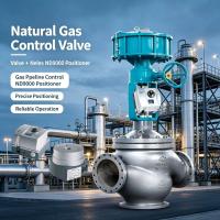 China High Quality Valmet Me-sto Neles ND9000 ND9106HX8T ND9206HE8T Smart HART Control Valve Positioner for sale