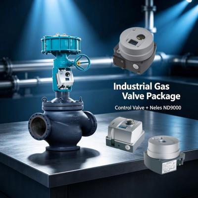 China High Quality Valmet Me-sto Neles ND9000 ND9106HX8T ND9206HE8T Smart HART Control Valve Positioner for sale