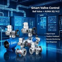 China High Quality AUMA SQ 14.2 Part-Turn Actuator 800-2400Nm 3-Phase AC Open-Close Valve Actuator IP68 for sale