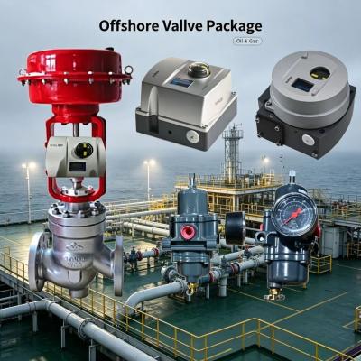 China Valmet Me-sto Neles ND9000 Control Valve Positioner with Fi-sher 67CFR Filter Pressure Reducing Valve for sale