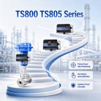 China TS800 TS805 Series Smart Valve Positioner Globe Valve for sale