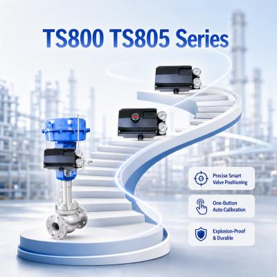 China TS800 TS805 Series Smart Valve Positioner Globe Valve for sale