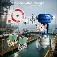 China Flowserve Logix 3200MD Digital Positioner with ASCO Solenoid Valve for Precise Industrial Valve Control for sale